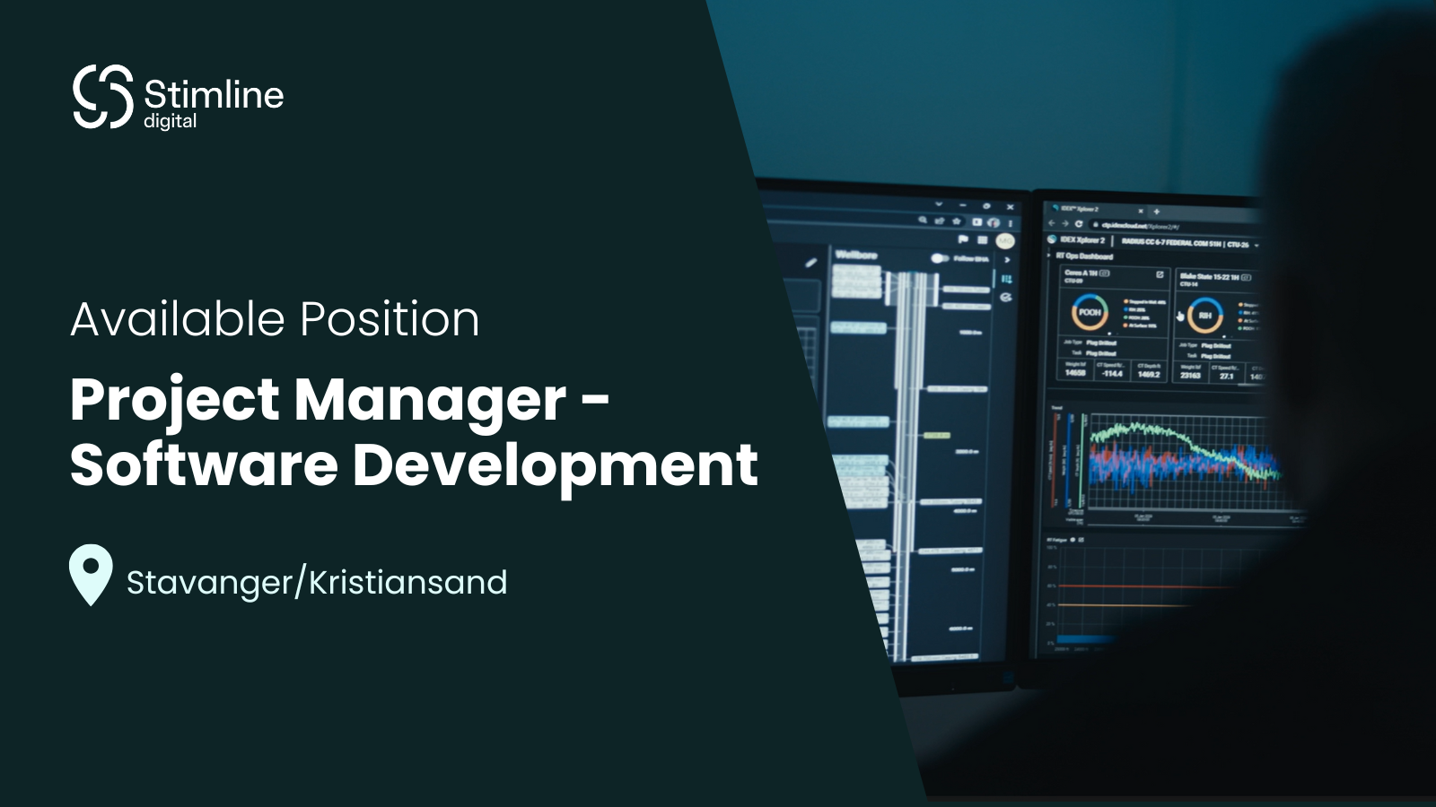 Available Position: Project Manager – Software Development